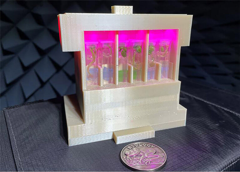 Cadets create plant experiment to go to space • United States Air Force ...